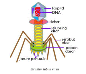 Mengenal sepintas Anti corona virus (COVID-19)
